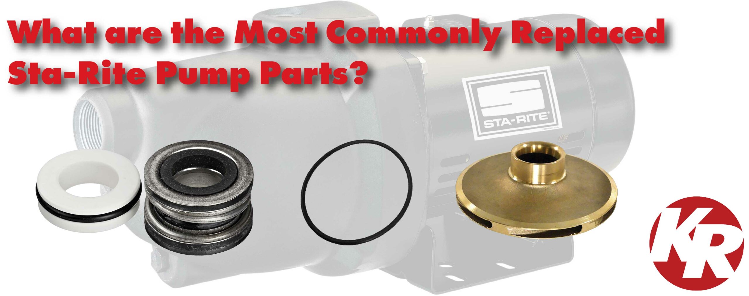 What are the Most Commonly Replaced Sta-Rite Pump Parts?